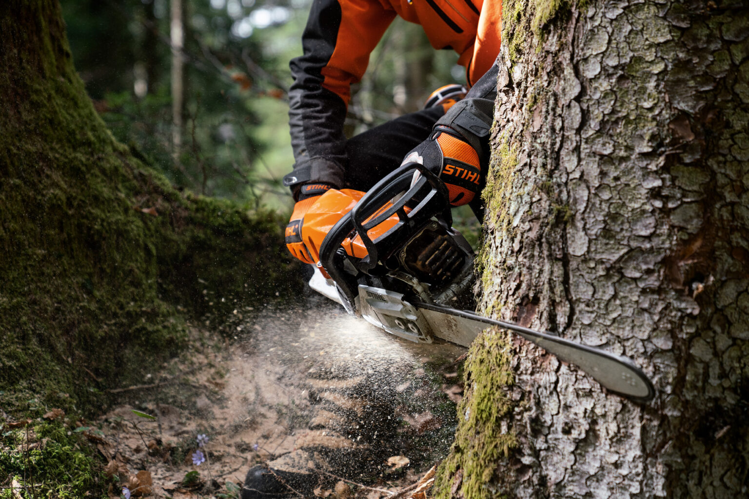 STIHL MS 400.0 C-M Kettensäge – Timbershop