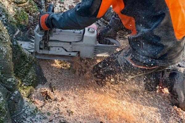 STIHL MS 880 Kettensäge – Timbershop